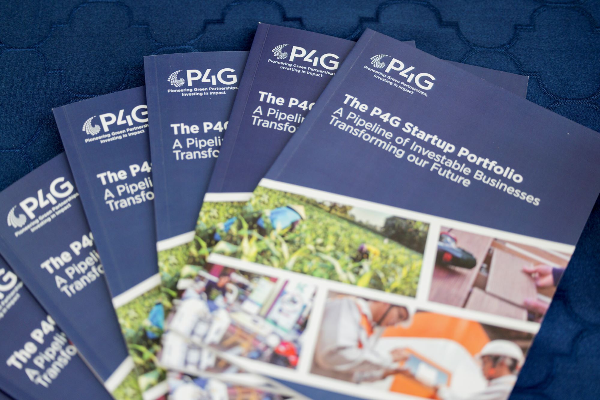 The P4G Startup Portfolio: A Pipeline of Investable Businesses Transforming our Future | P4G